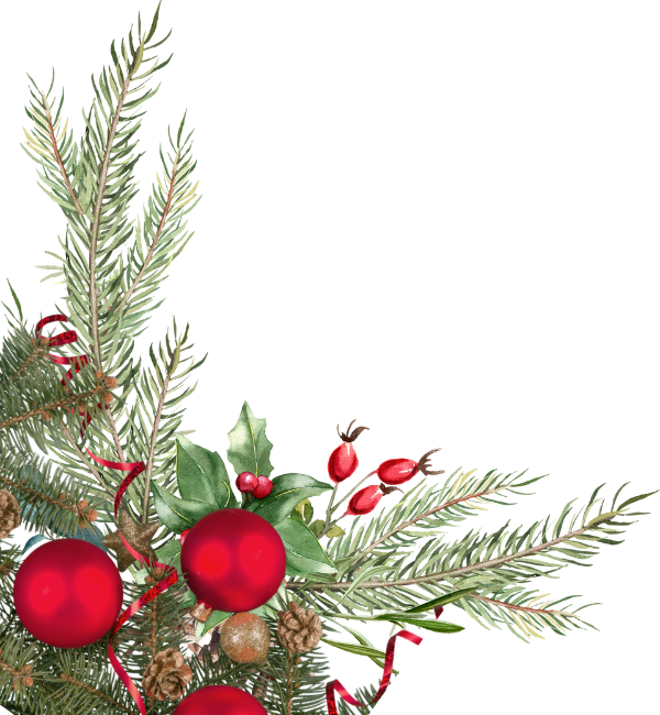 A New Pretreatment Technology | Heron Innovators, Inc. | Suspended Air® Flotation | Better ...